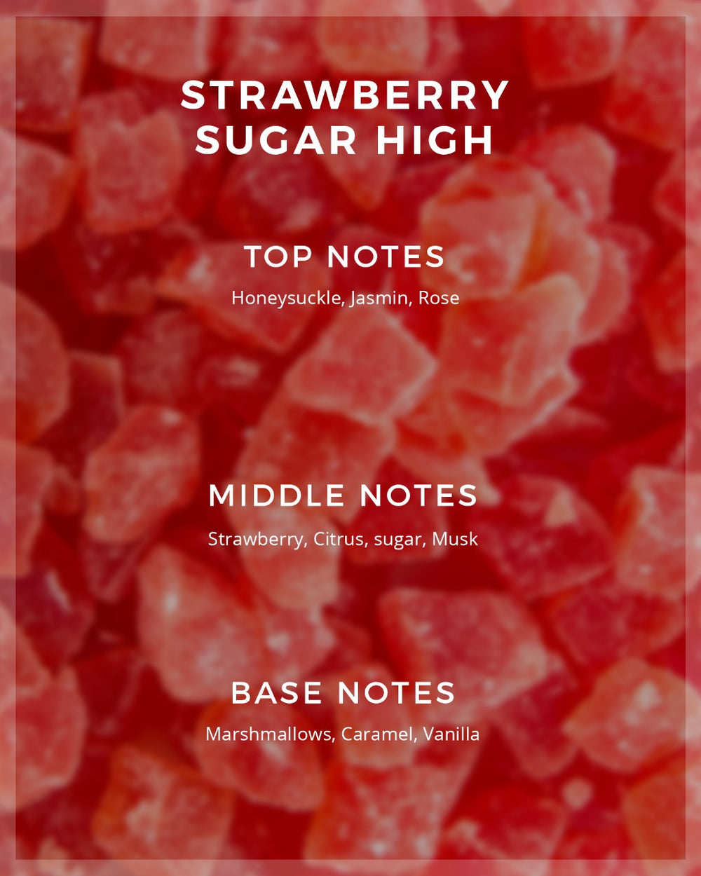 🍓Strawberry Sugar High🍓